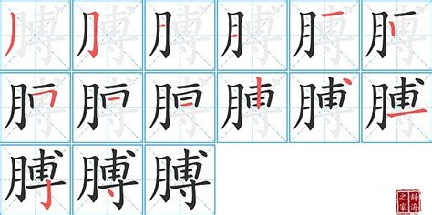 膊的笔顺笔画如何写？汉字膊的拼音、部首、笔画顺序及成语组词 学前教育资源网