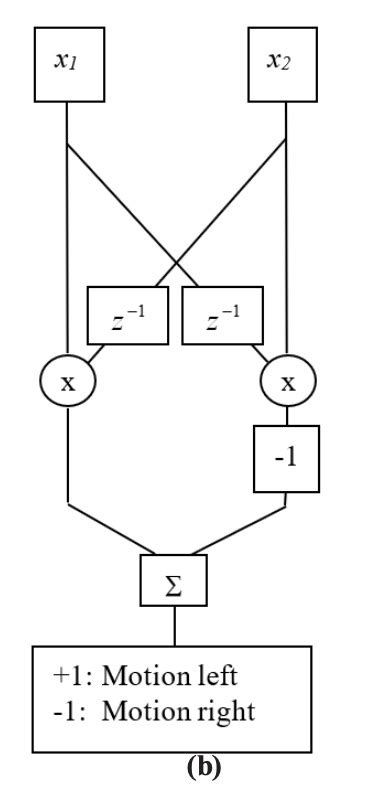 23 Fundamentals Of Neuronal Processing Engineering Libretexts