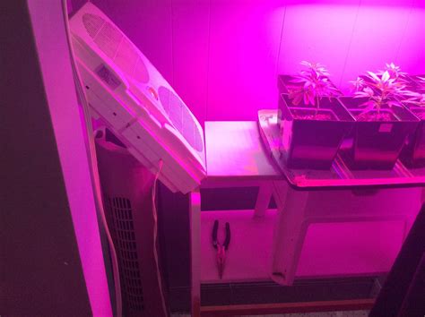 My First Grow Any Tipsinformation Greatly Appreciated Pics Included