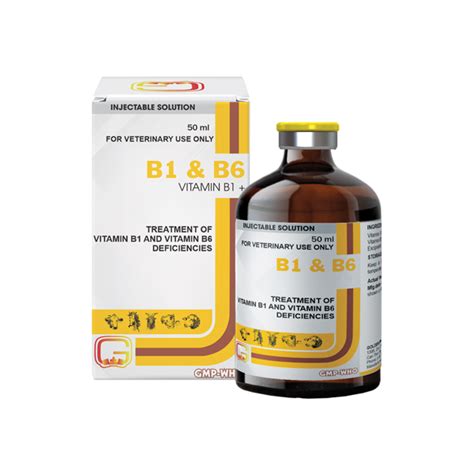 B1andb6 3d Goldenmed