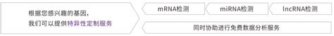 Pcr芯片pcr Array技术服务 乐备实labex官网