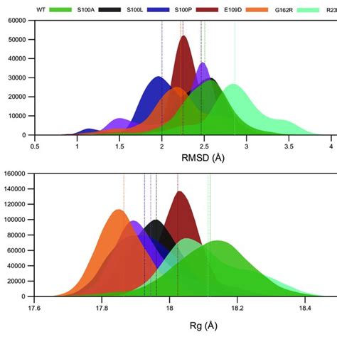 α Carbon Rmsd And Rg Distribution Of The Wt And Variant Proteins Using Download Scientific