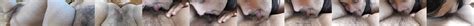 Fat Hairy Stinking Unwashed Smegma Pussy Porn E1 Xhamster Xhamster