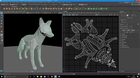 Chandani Parekh UV Unwrapping