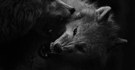 The Anatomy Of A New Geography