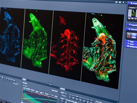 The Definitive Guide To Cell Segmentation Analysis