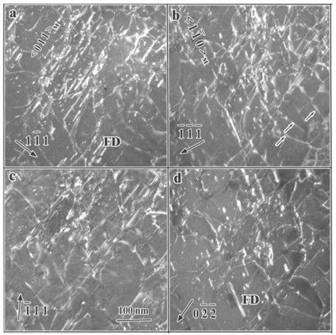 Weak Beam Micrograph Of The Substructure In A Cu 8a1 Single Crystal Download Scientific
