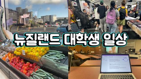 뉴질랜드 대학생 일상 브이로그 Youtube