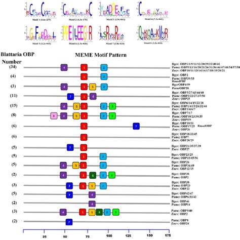 Motif Analysis Of Odorant Binding Protein Obp Genes The Parameters