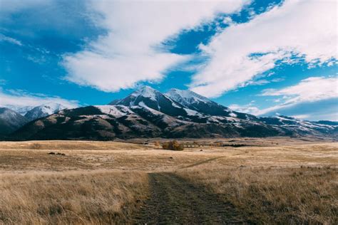 Fun Things To Do In Paradise Valley Mt Wild West Rafting