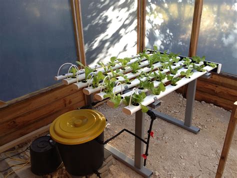 build your own hydroponic system
