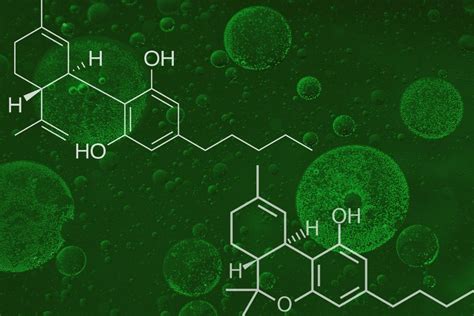 Cbd Vs Thc The Difference Explained Cbd Origin Medium