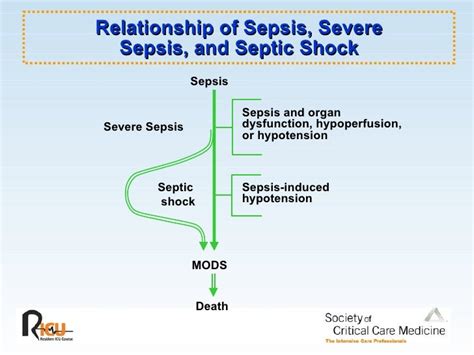 Sepsis And Septic Shock Septic Shock Therapy Abufdm
