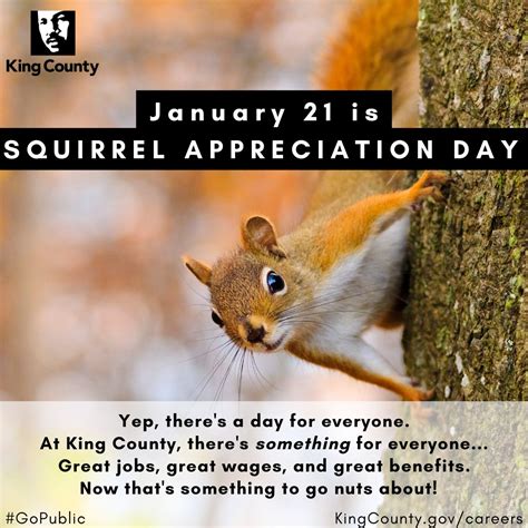 Ira Becton On Linkedin What A Day To Go Nuts Over Great Opportunities At King County 🐿️ 😂