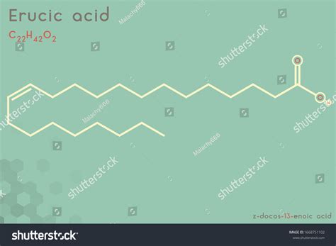 Large Detailed Infographic Molecule Erucic Acid Stock Vector Royalty