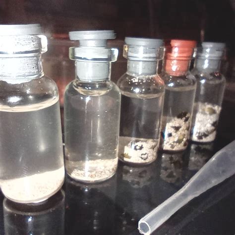 Inge Dagmar Manders Fine Inge Dagmar Manders Fine Art