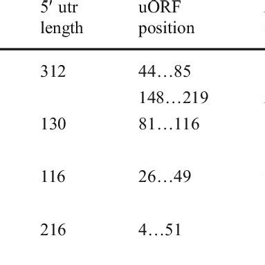 Uorf Amplification Schematics For Amplification Of Uorf Containing 5