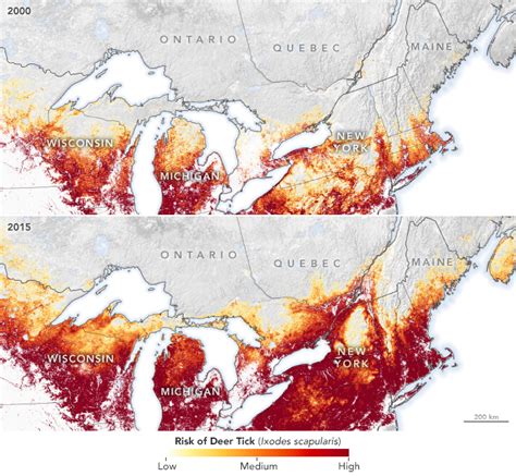 Mapping The Spread Of Lyme Disease