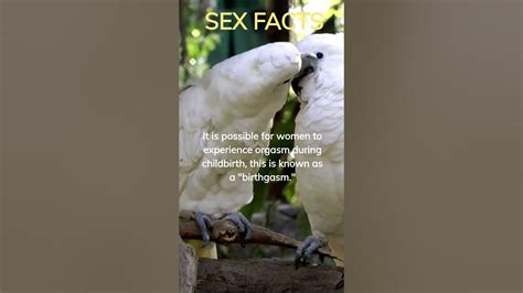 Sex Facts Youtube