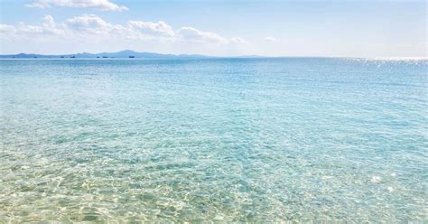 夏ってだけでキラキラしてた。｜kakako｜note