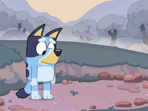 Which Episode Of Bluey Made You Cry The Most Rbluey