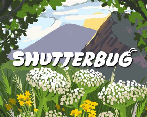 Shutterbug By Vividfax Dan Emmerson