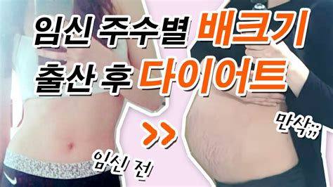 쌍둥이임신 배크기변화 출산후 다이어트 I 출산한달차15kg빠진후 정체기 Youtube