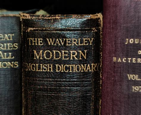 Modern Dictionary By 100 Days On Deviantart