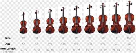 Maße Cello Cellogröße Bestimmen Ajxki