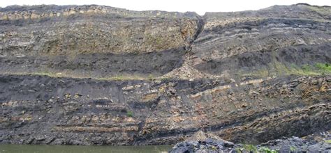 Spireslack Locality 10 View Of Major Fault Geoguide