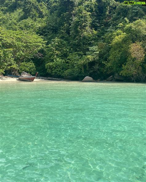 Park Ye Eun Instagram 뮤트 프리다이빙 투어 Day 1 첫 날부터 함께 한 대왕 뾰루지 바다 색 미쳤음 활짝 핀 연꽃 태국에서 N년 전에 산 가운