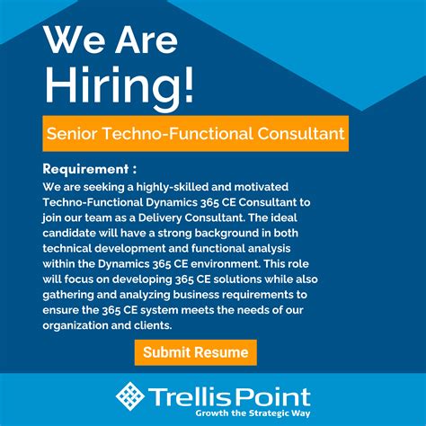 Senior Techno Functional Consultant Job Description