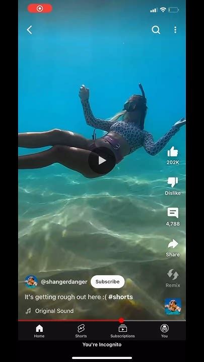 Shangerdanger Care To Explain🧐meme Comedy Caughtin24k Gaming