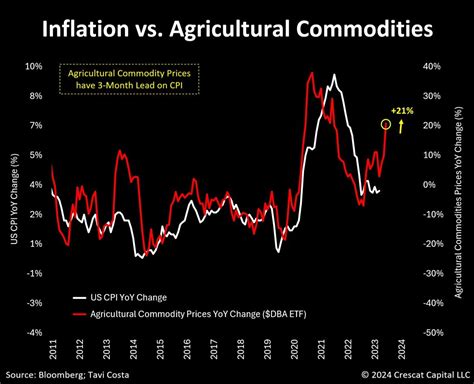 Agricultural Commodities Are Now Up 21 Annually That Has A 3 Month Lead On Cpi A Second Wave