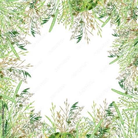 Watercolor Green Grass Border Frame Wild Meadow Herbal Greenery