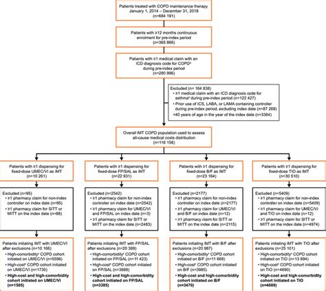 Patient Disposition A Icd Codes For Copd Are Shown In Table S1 B Icd