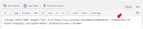 Adding YouTube Videos To WordPress Designer Blogs