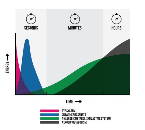 Sports Performance Bulletin Training Structure And Planning Training