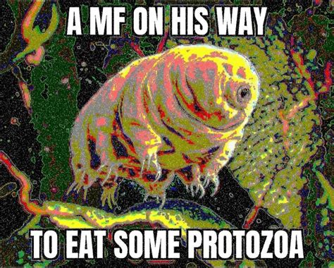 Industrial Microbiology Memes At Layla Ruse Blog