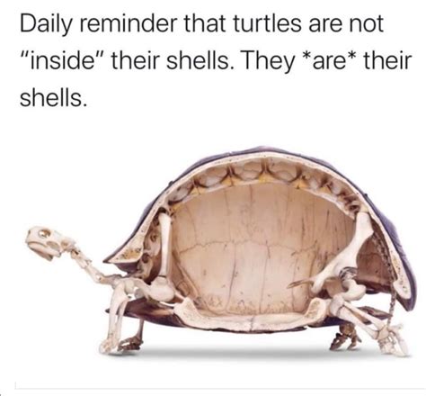 Body Image And Autism A Personal Reflection Undercover Autism