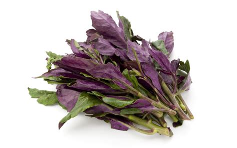 紅鳳菜怎麼煮可以去澀味、降寒涼？煮熟後的汁液為什麼是紫紅色？ Roomie