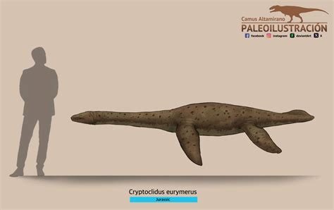 Cryptoclidus Eurymerus By Camusaltamirano On Deviantart