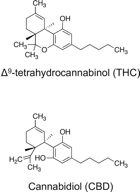 Administration Of Δ9 Tetrahydrocannabinol Thc In Adolescent And Adult