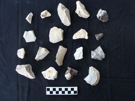 Representative Sample Of Chert Flakes Discovered In The Fill Of Download Scientific Diagram