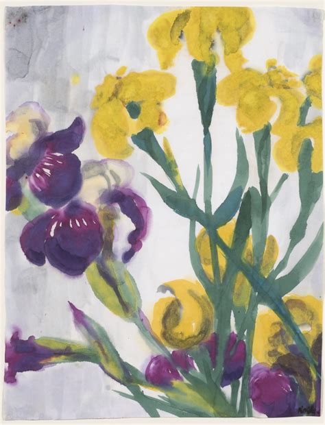 Emil Nolde Gelbe Und Blaue Iris Hi Res Dickinson