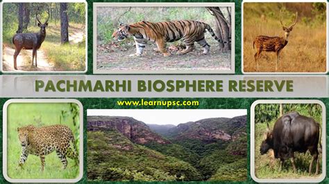 Pachmarhi Biosphere Reserve Learn Upsc