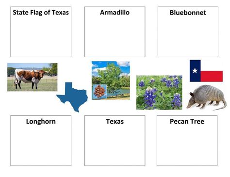 Texas State Symbols 100s Chart Blank And Numbered Charts The Alamo