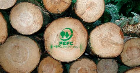 Ny Pefc Standard Trådt I Kraft Dansk Skovforening