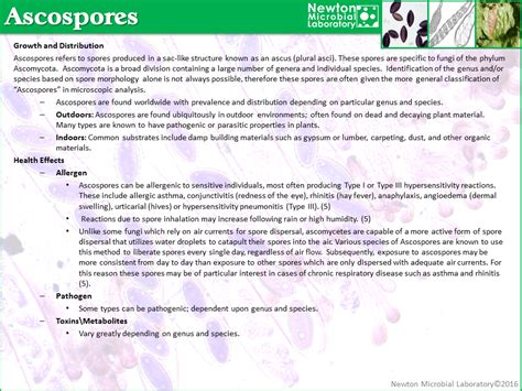 Ascospores Newton Microbial Laboratory