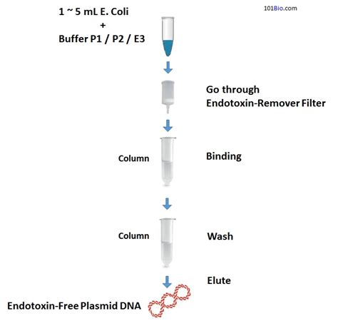 Endotoxin Free Plasmid Dna Miniprep Kit Endofree Plasmid Dna